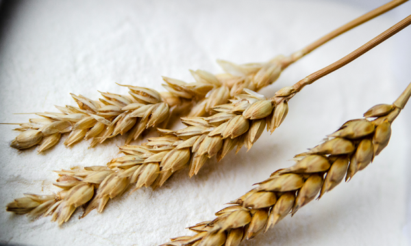 Beneficios y contras del gluten de trigo | Alimentos Saludables ...